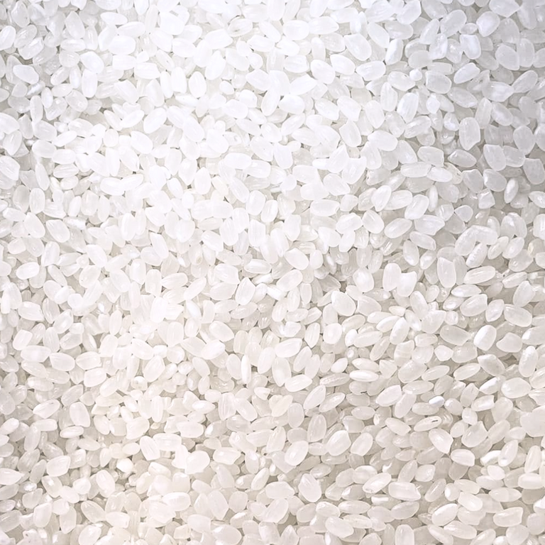 Mindoro Denorado Price List – Commodity Trader PH