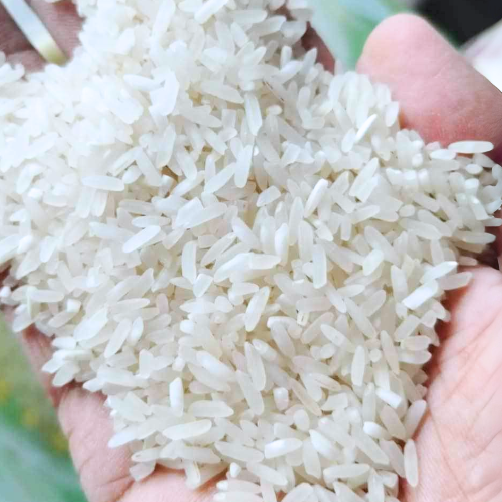 Rice Price List – Commodity Trader PH